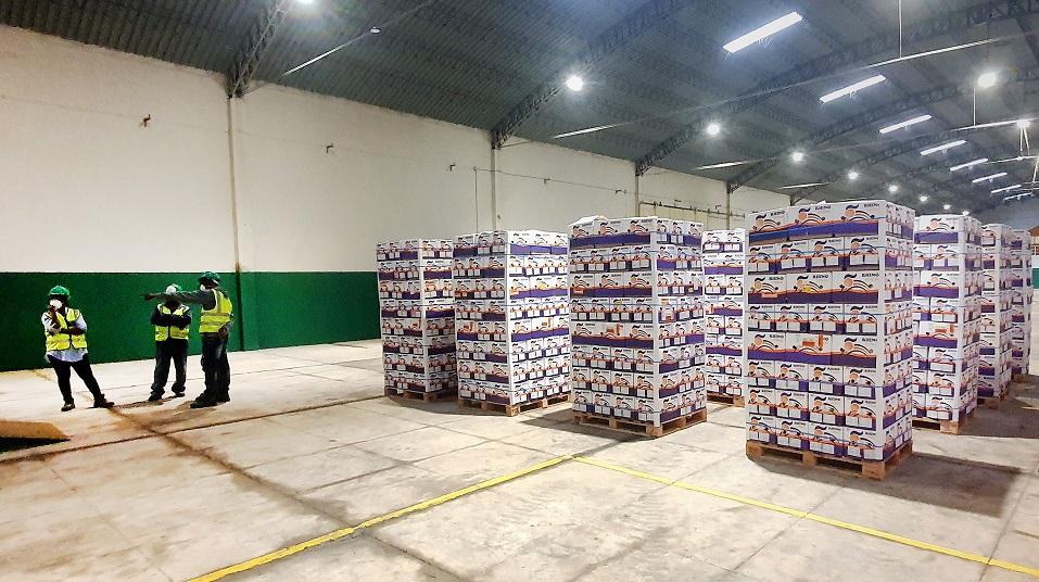 DP World in Maputo new efficient gateway for South Africa’s citrus ...