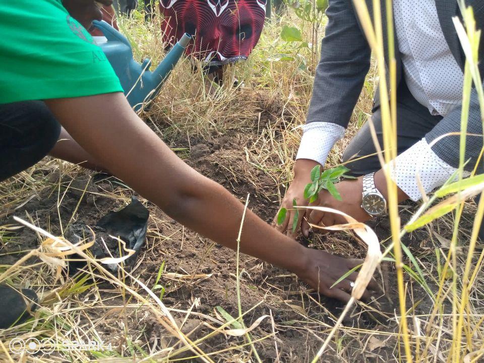 NGO set to restore 300 hectares of community forests in central ...
