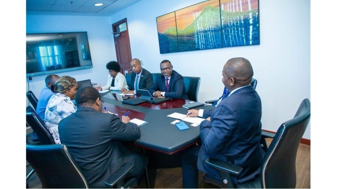 Tanzania, Mozambique to up cooperation in communications - Mozambique