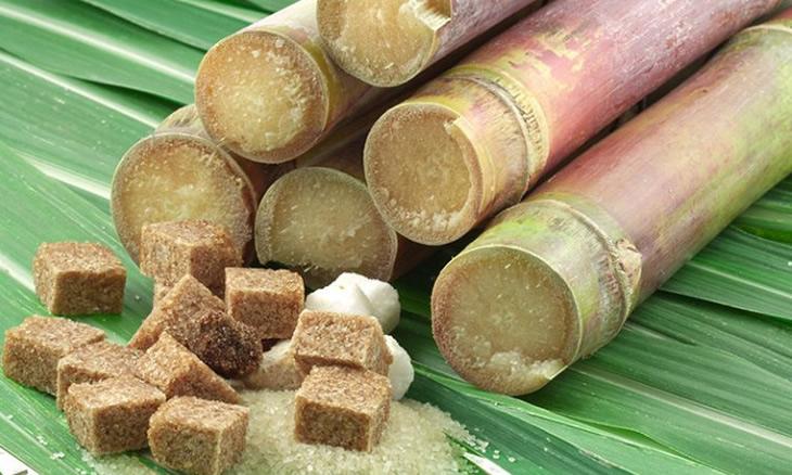 Despite floods, domestic sugar requirements can be met - Mozambique