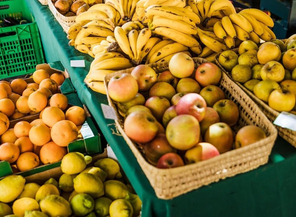 Why exporting fruits from Africa is booming business - Mozambique