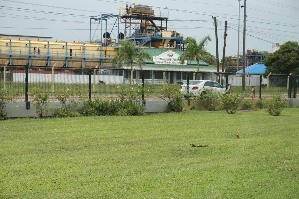 Tanzania’s Kagera Sugar to acquire Tongaat Hulett sugar assets in South ...