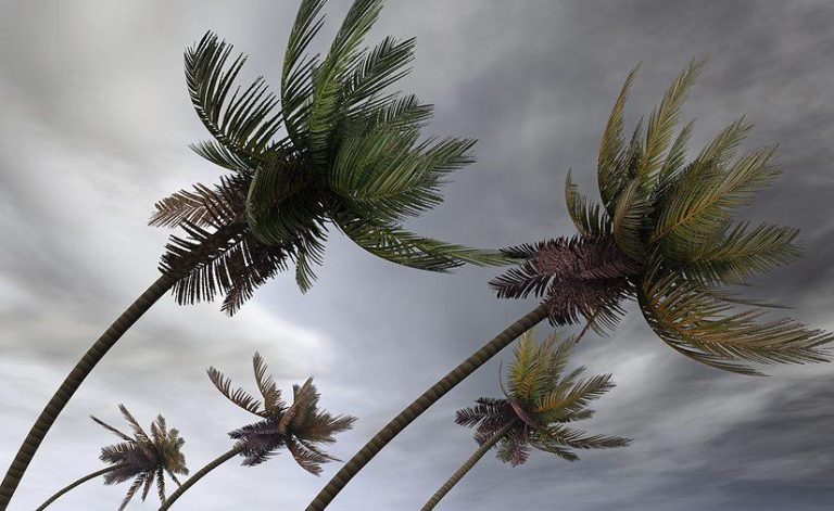From today, Nampula and Zambézia in the path of Cyclone Judy - Mozambique