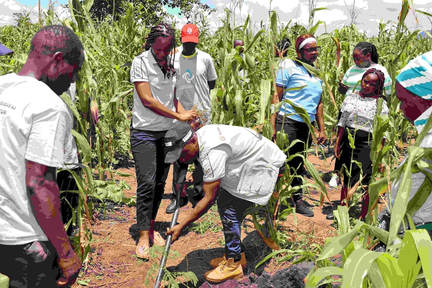 IUCN in Mozambique supports Bárue district in restoring the source of ...