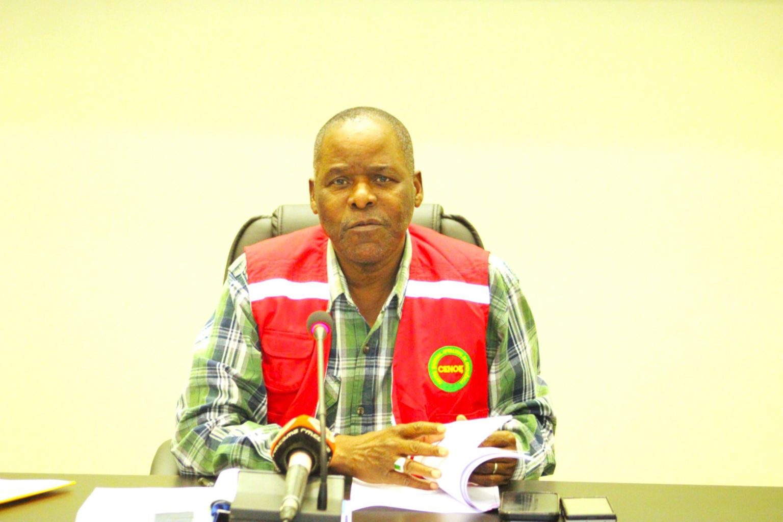 Bongece warns of flood-driven crocodiles in Maputo province after young ...