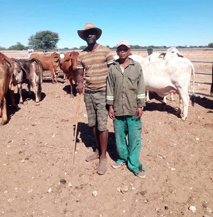 Small steps into commercial farming - Namibia