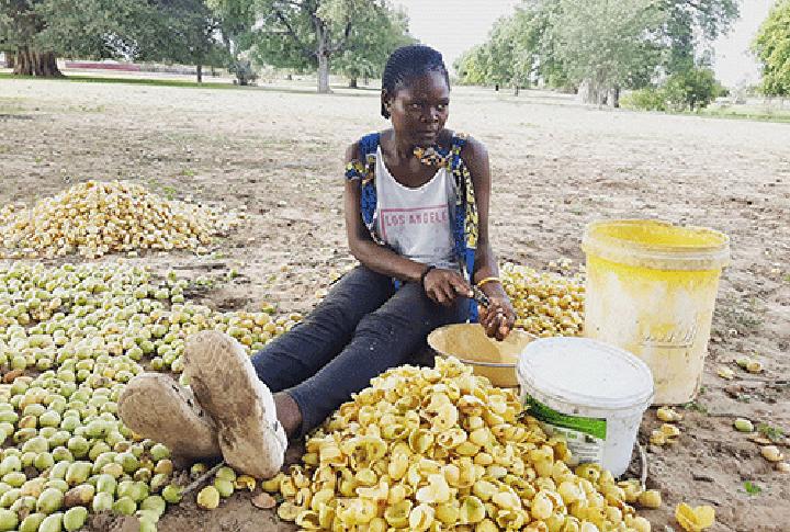 Traditional authorities take omagongo recess - Namibia