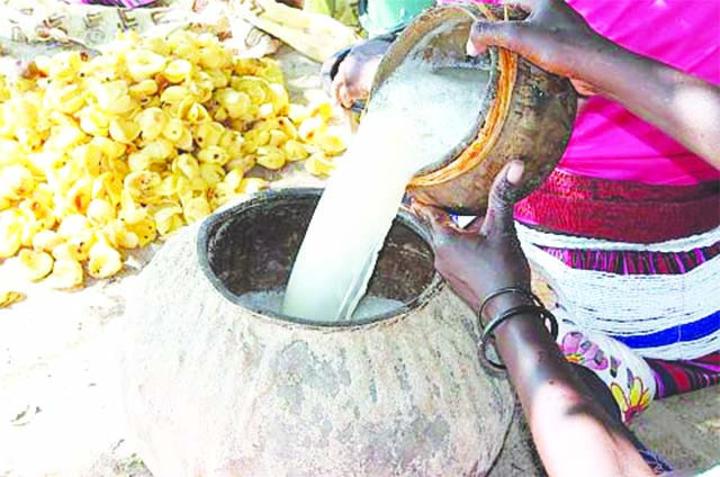 Northern traditional courts suspended amid 'omagongo' season - Namibia