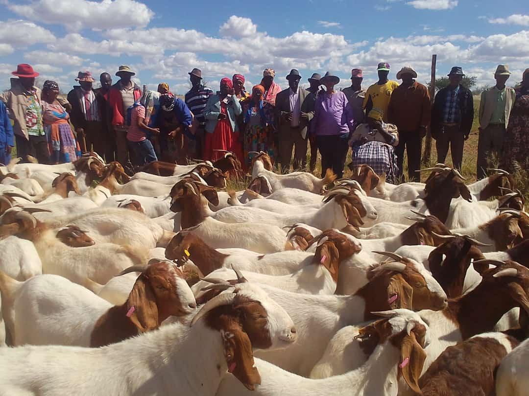 Berseba residents receive goats, equipment - Namibia