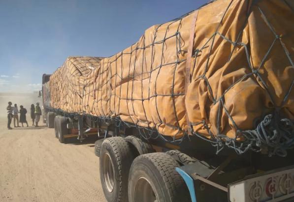 Truck with unprocessed timber seized - Namibia