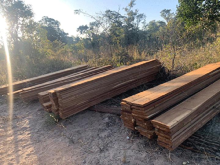 Government seizes timber in Kavango West - Namibia