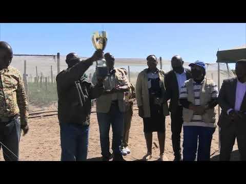 Kavango West horticulture farmers awarded for contributions to food ...