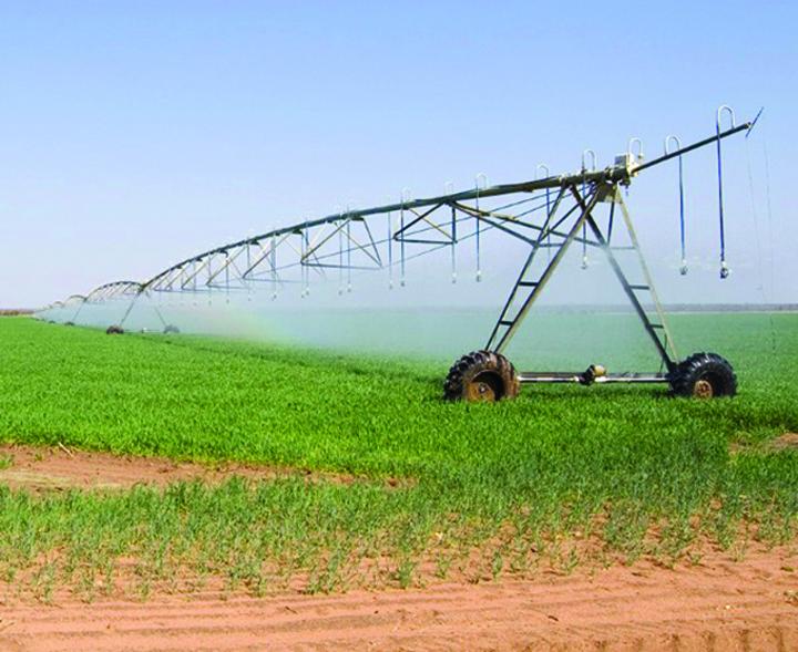 Allocate green schemes to regional councils – Swapo think tank - Namibia