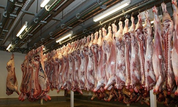 Savanna Beef raises N$27,5m more - Namibia