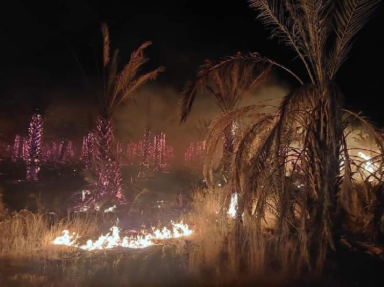 Date farm up in flames - Namibia