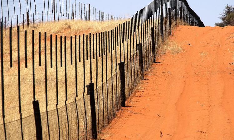 Noronex raises US$1,5m for DorWit copper project - Namibia