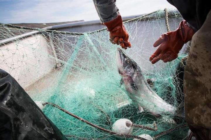 Namibia makes strides on blue economy - Namibia