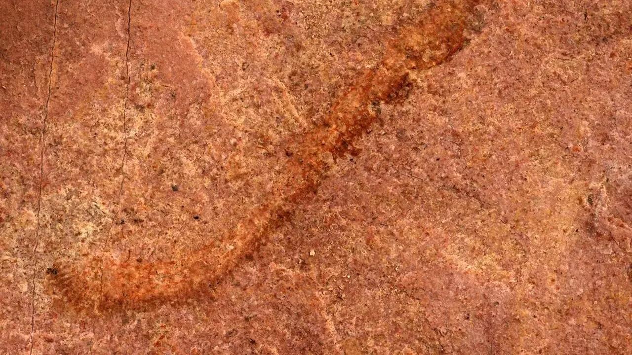 Fossilized Brain of Prehistoric Worm-Like Creature Grants Insights Into ...