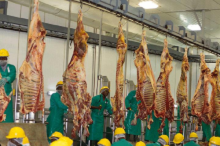 Farmers alarmed by Meatco sabotage talk…northern producers bemoan ...