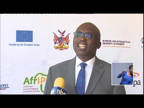 INTERVIEW | BIPA hosts ARIPO and Intellectual Property Rights and ...