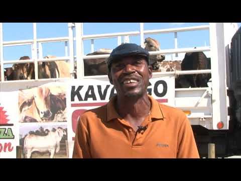 Kavango OK Foods Supermarket gives away 20 cattle to its customers ...