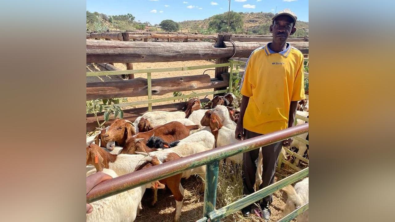 Ovitoto farmers benefit from goat scheme - Namibia