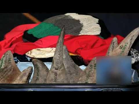 Otjozondjupa police investigate black rhino poaching incident - Namibia