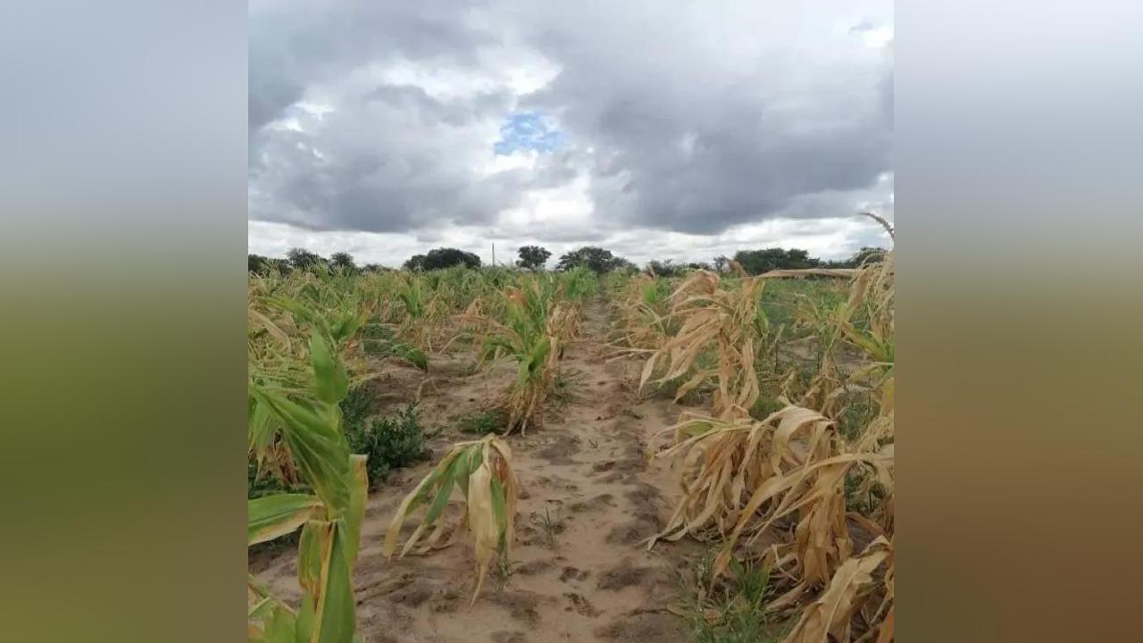 Farmers urged to prepare as next year’s rainfall season looks bleak ...