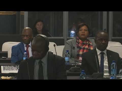 Digitalization of organised criminal activities a concern- Moerane ...