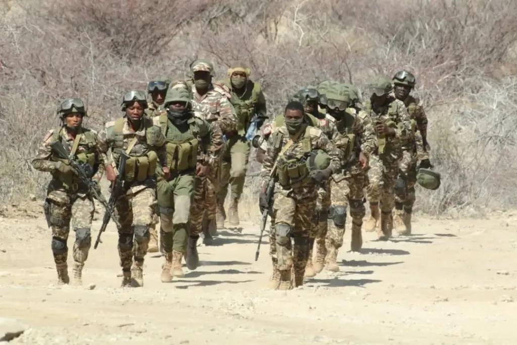 Humans and livestock in Oshana and Oshikoto warned of NDF live fire ...