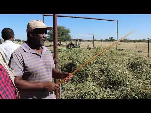 MPs commend Damaseb for his resilient approach at Okorusu farm - Namibia