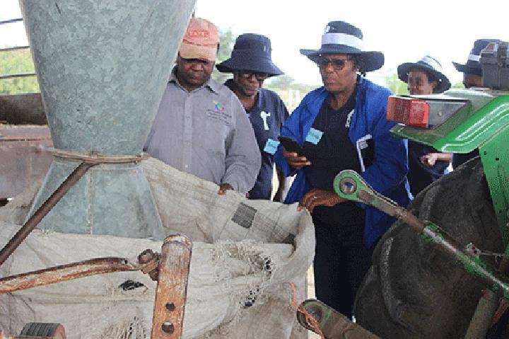 Women step up the farming ladder - Namibia