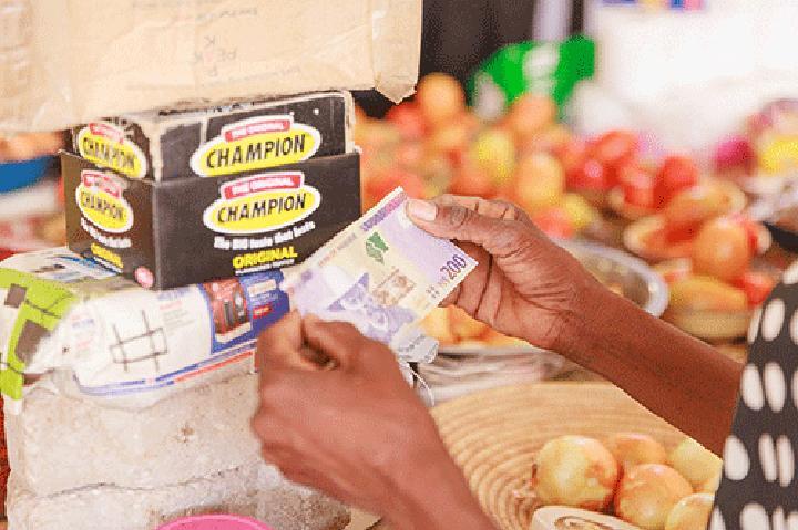 Current currency peg serves Namibia well – BoN - Namibia