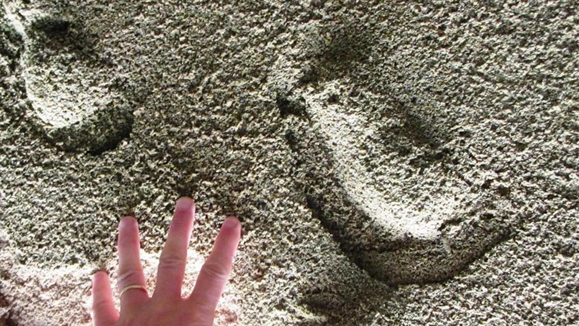 Oldest Footprint of Homo Sapiens Discovered in South Africa - Namibia Oldest Footprint of Homo Sapiens Discovered in South Africa - Namibia