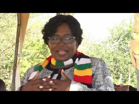 Namibia, Zimbabwe partnership should address regional development - Namibia