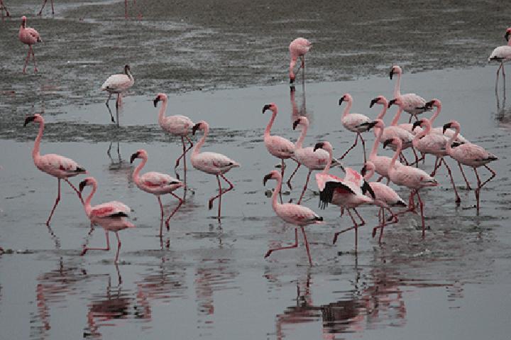 Walvis Bay to host first maritime festival - Namibia