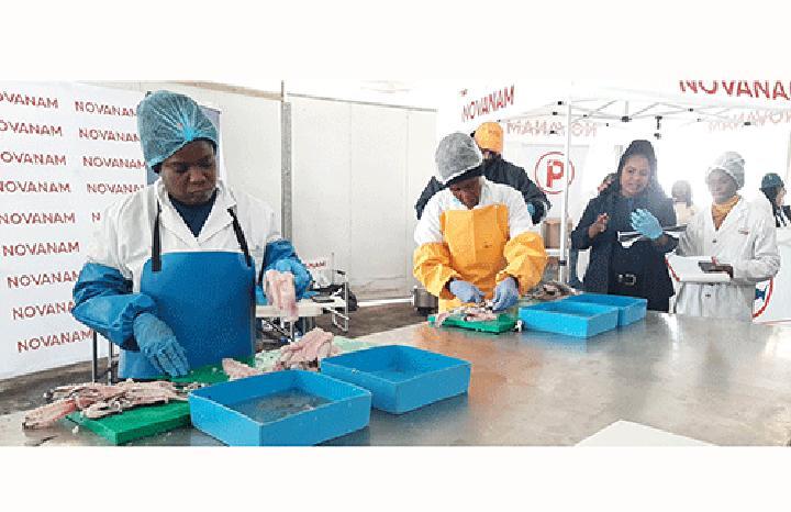 Preserve the ocean for sustainable, resilient economy – Forbes - Namibia