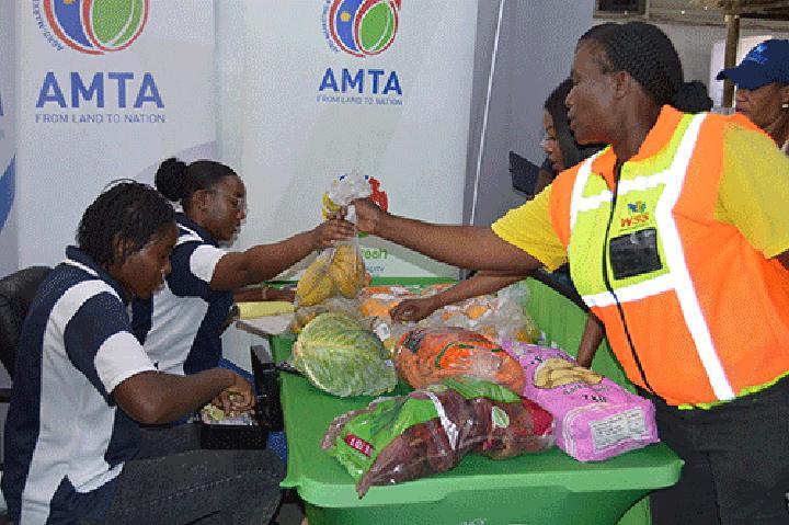 Agriculture - AMTA’s 10 years of service excellence to farmers - Namibia