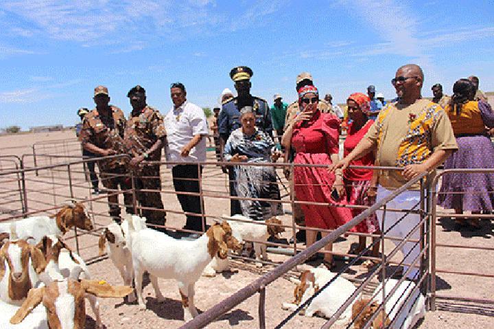Berseba goat expo vital for southern farmers - Namibia