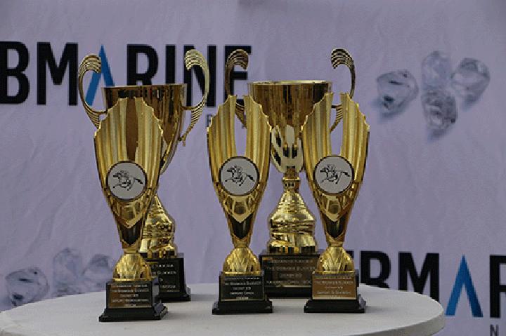 Fireworks at Gobabis Summer Cup…as Earl of Cardigan reigns supreme ...