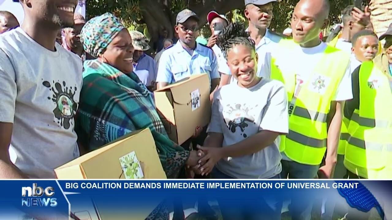 Namibian coalition petitions for implementation of Universal Basic ...