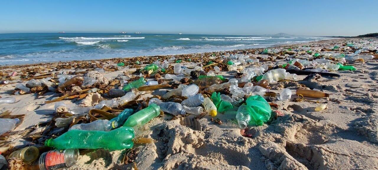 Plastics Cannot Be Recycled and Producers Know This, Report Claims ...