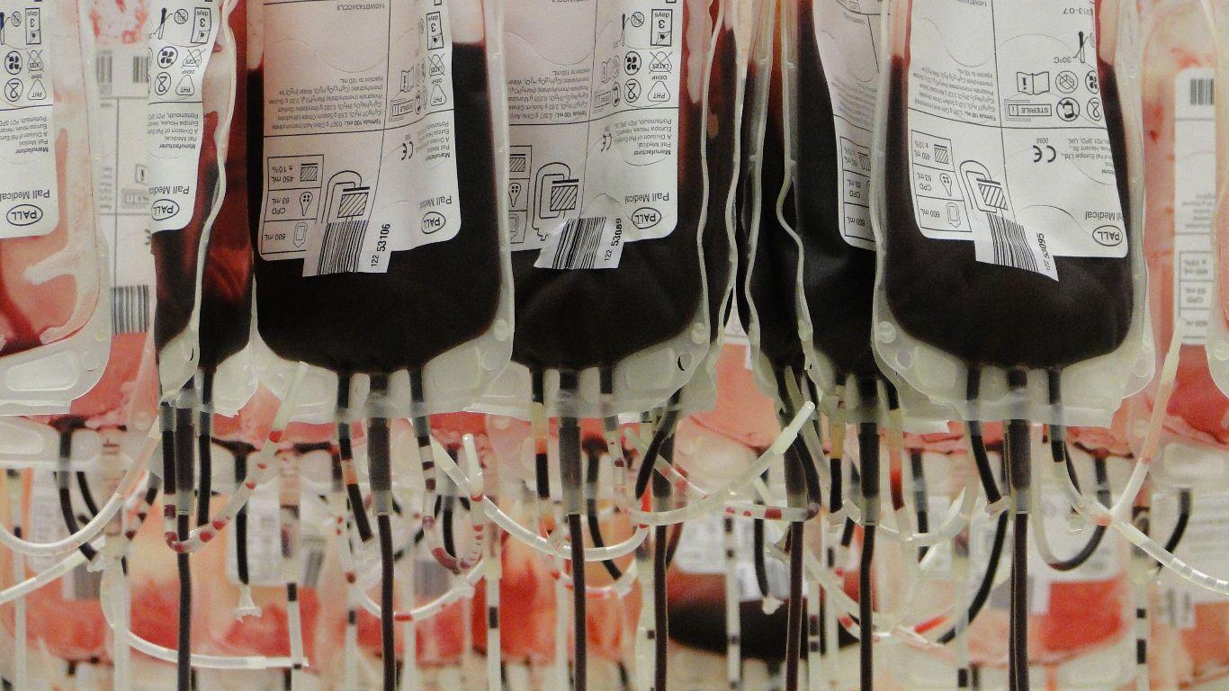 Good News for ABs: Scientists Can Now Change People's Blood Type - Namibia