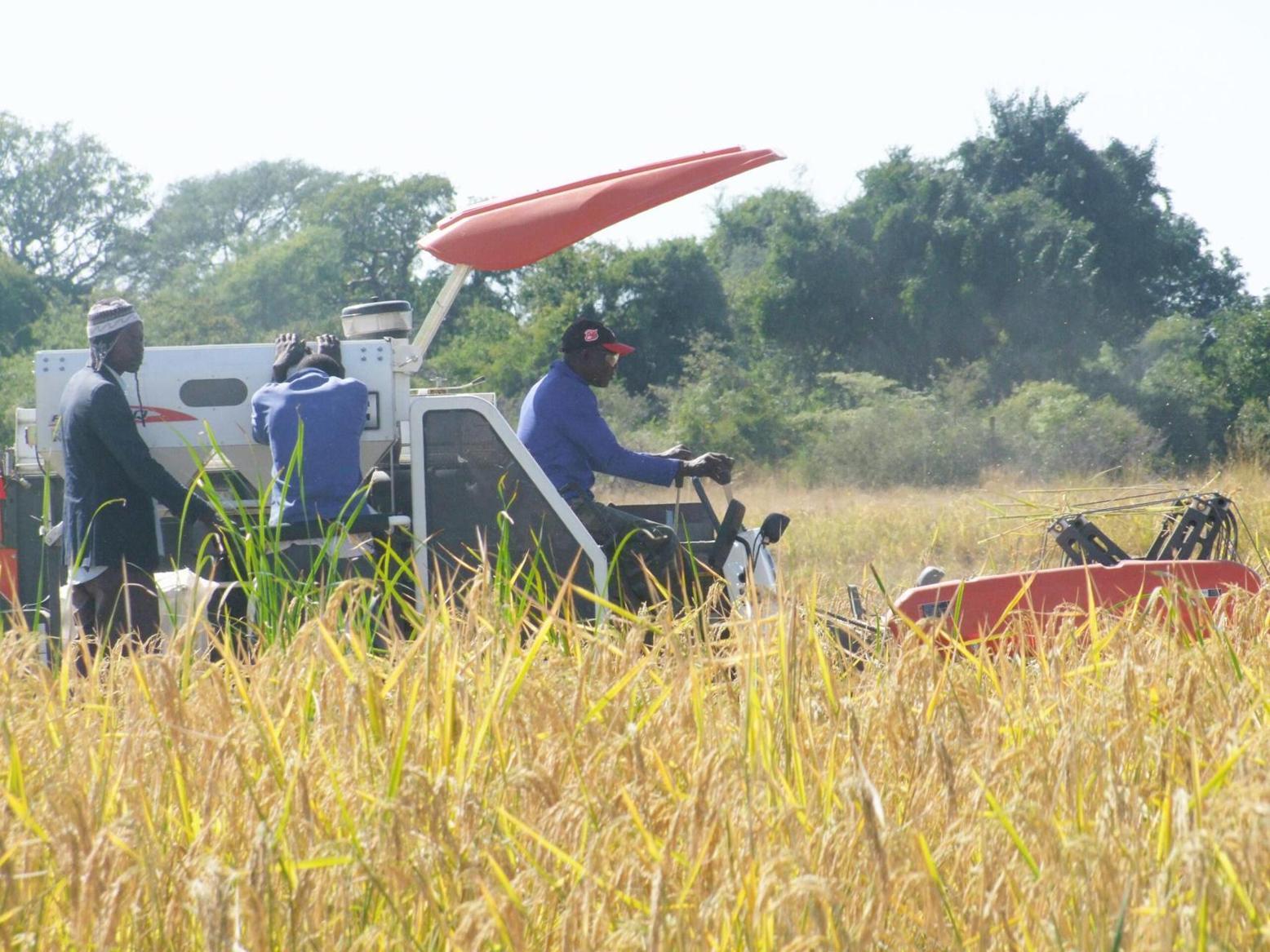 Kalimbeza honouring Nujoma’s food security legacy - Namibia