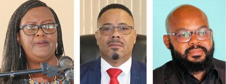 Governors to remain in office until sworn in as MPs - Namibia