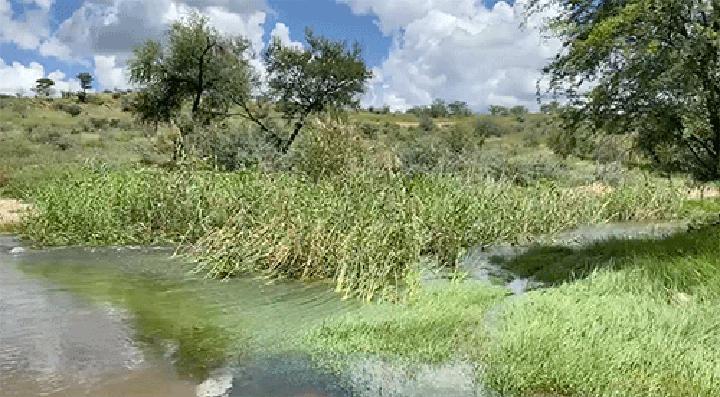 Windhoek floods claim two lives - Namibia