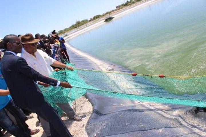 Epalela Aqua-Fish Farm Transformation Plans - Namibia