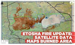 Etosha Fire Update Satellite Data Maps Burned Area - Namibia