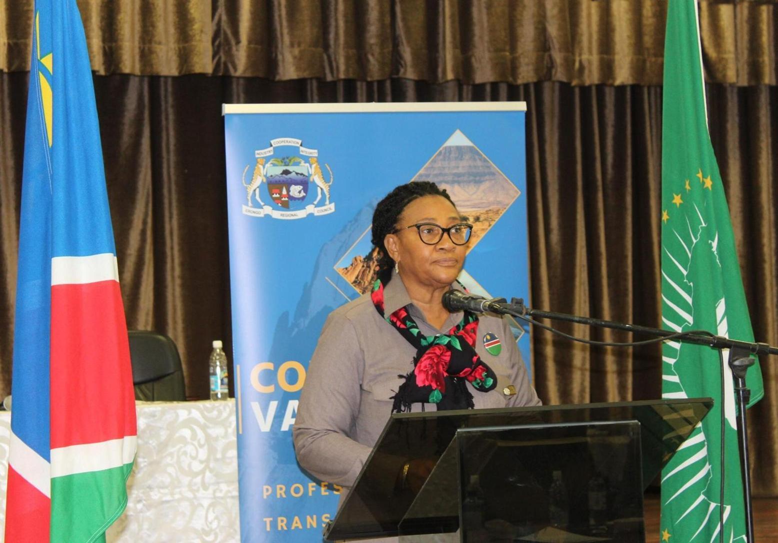 Erongo Faces Challenges of Rapid Urbanization - Namibia