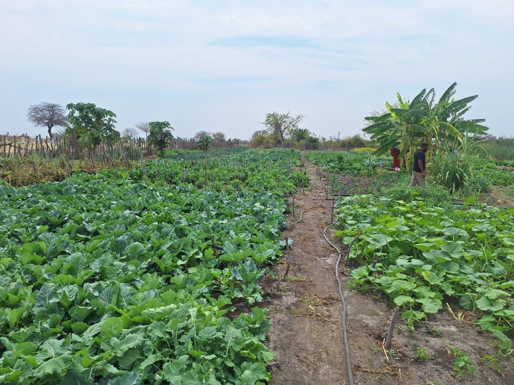 Village Garden Inspires Change in Kapako - Namibia